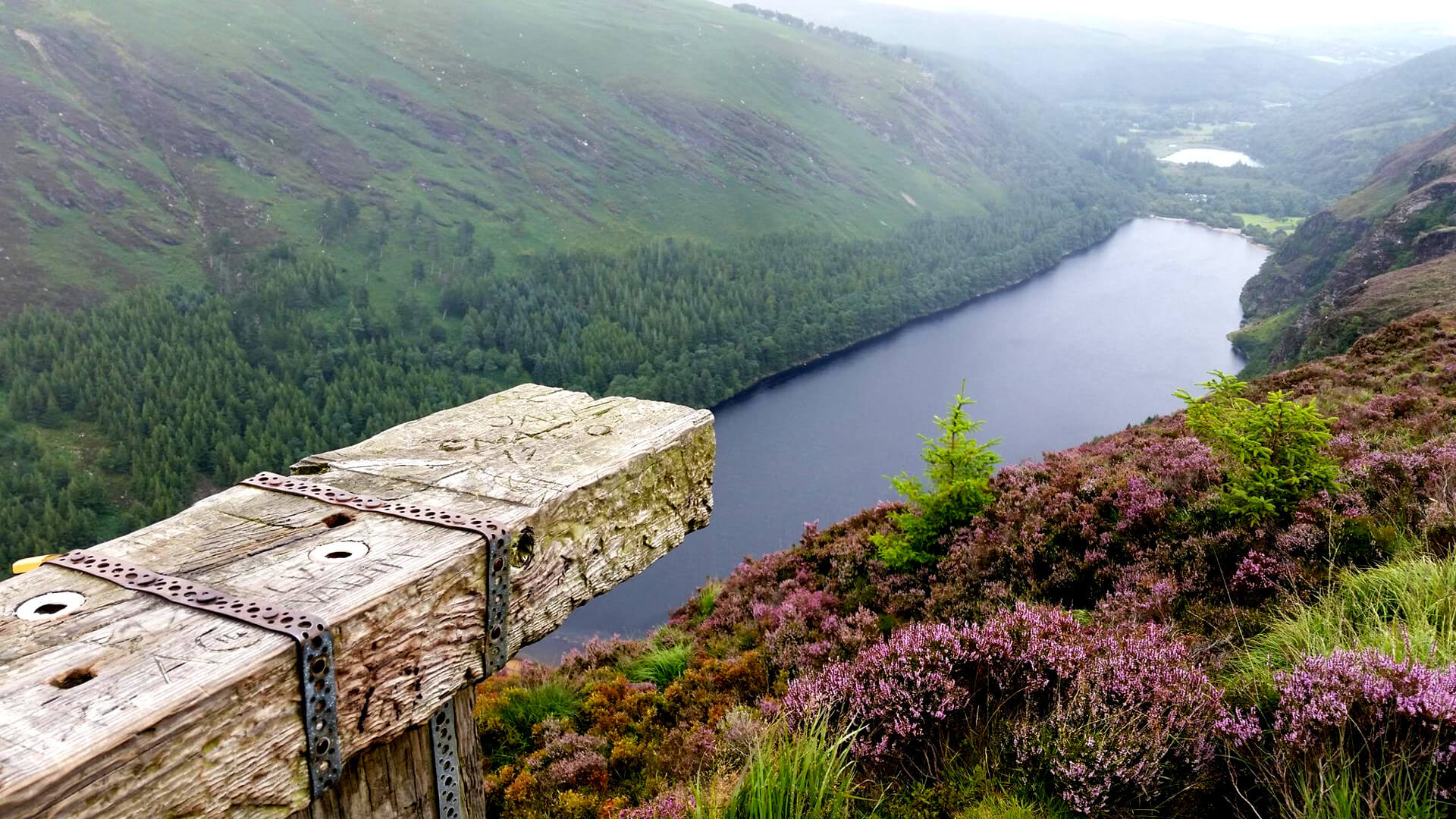 Wandelen Wicklow Mountains 5-Dagen-Rustig - wandelvakantie